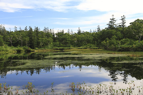 유토이미지 | 35504-0000376