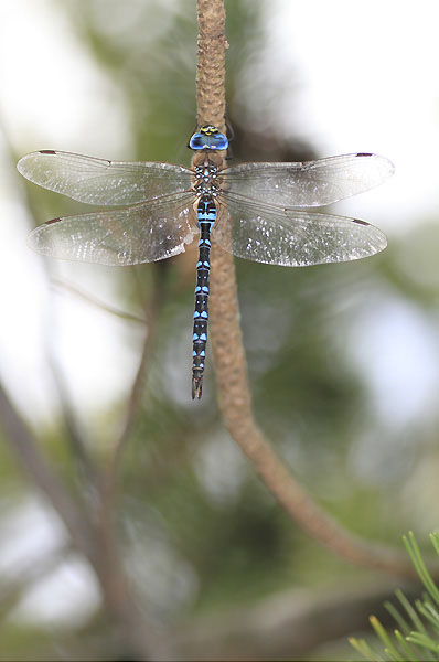 유토이미지 | 35504-0000401