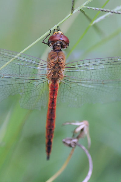 유토이미지 | 35504-0000404