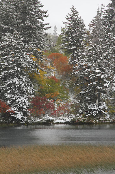 유토이미지 | 35504-0000468