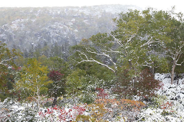 유토이미지 | 35504-0000469