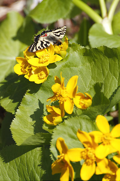 유토이미지 | 35504-0000520