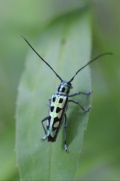 유토이미지 | 35504-0000596