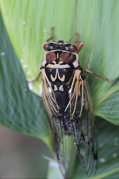 유토이미지 | 35504-0000602