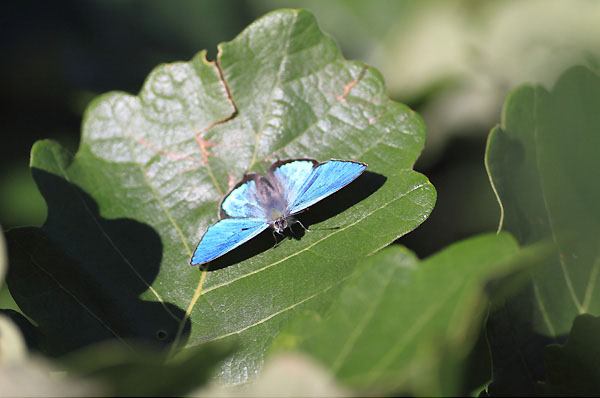 유토이미지 | 35504-0000708