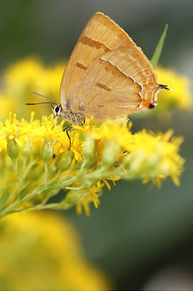 유토이미지 | 35504-0000800