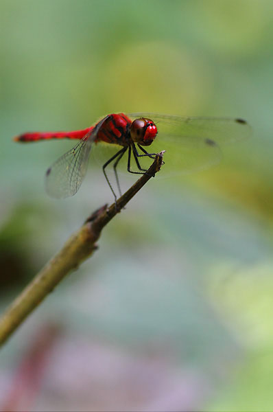 유토이미지 | 35504-0000817