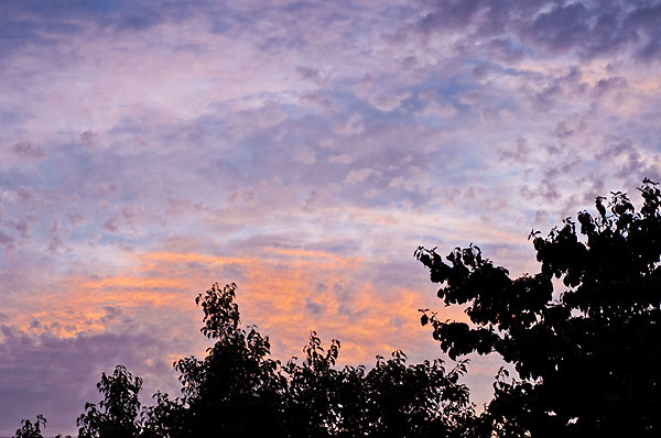 유토이미지 | 35515-0001319