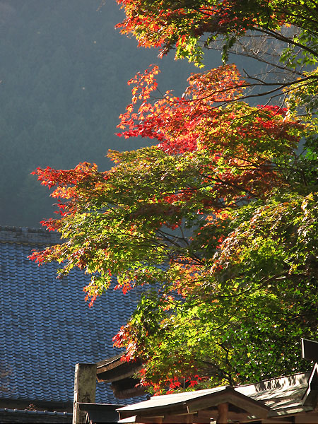 유토이미지 | 35520-0000006