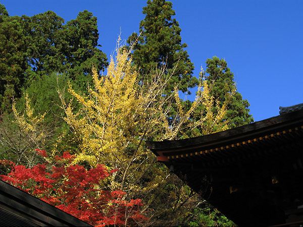 유토이미지 | 35520-0000007