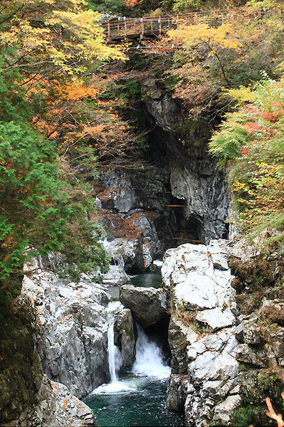 유토이미지 | 35520-0000191