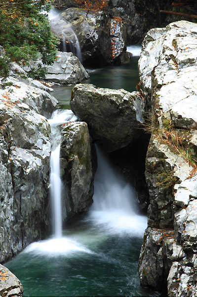 유토이미지 | 상세페이지 | 베이직샵 | 15814848 | 35520-0000196