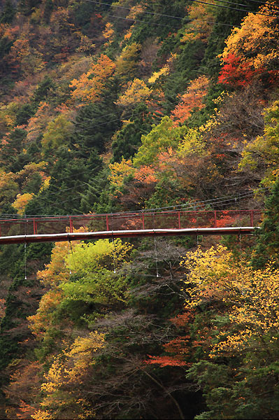 유토이미지 | 35520-0000207