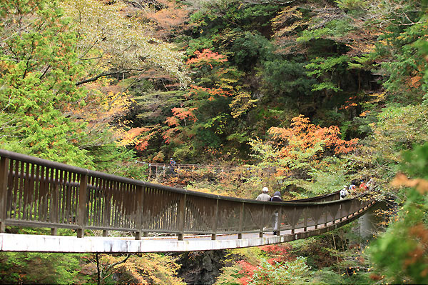 유토이미지 | 35520-0000226