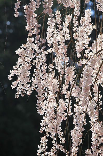 유토이미지 | 35520-0000238