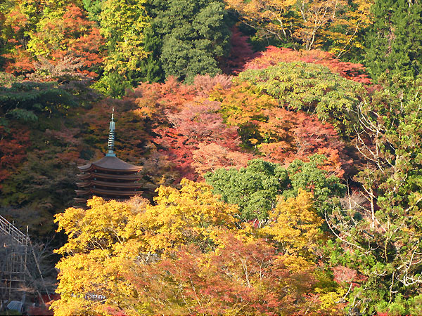 유토이미지 | 35520-0000570