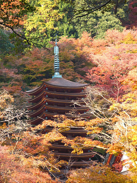 유토이미지 | 35520-0000575