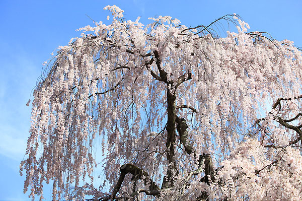 유토이미지 | 35520-0000590