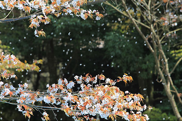 유토이미지 | 35520-0000657