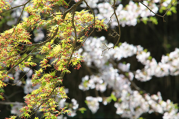 유토이미지 | 35520-0000662