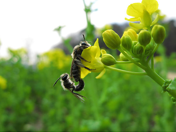 유토이미지 | 35520-0001244