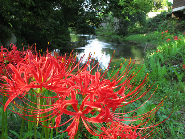 유토이미지 | 35520-0001431