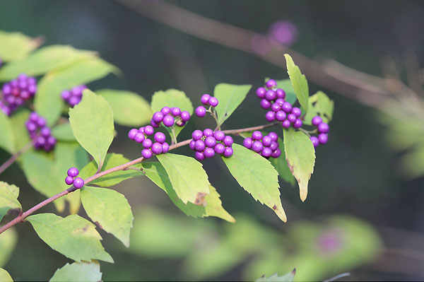 유토이미지 | 35520-0001599