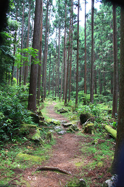 유토이미지 | 35520-0002470