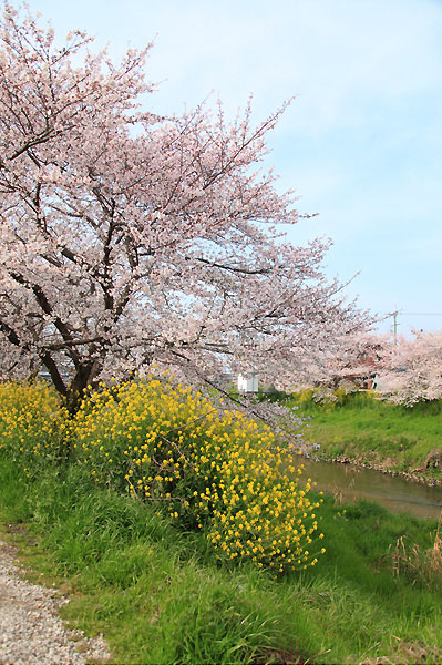 유토이미지 | 35520-0003340