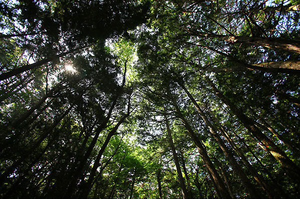 유토이미지 | 35520-0004114