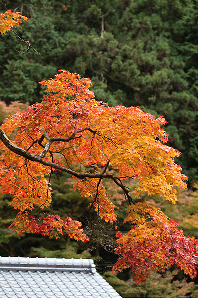 유토이미지 | 35520-0004315