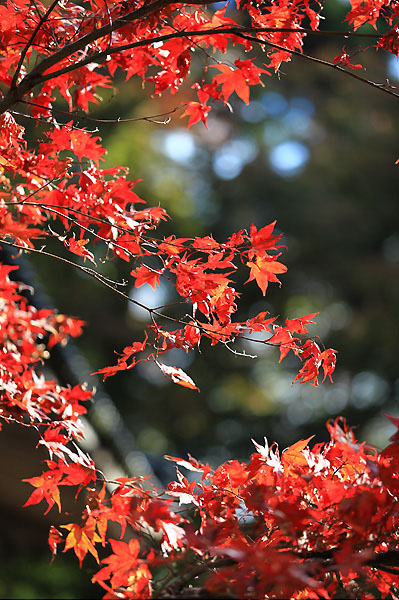 유토이미지 | 35520-0004343