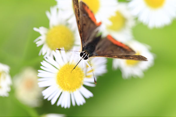 유토이미지 | 35520-0004760