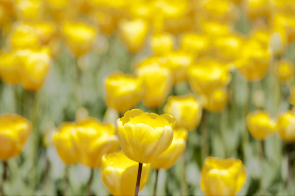 유토이미지 | 35529-0000007