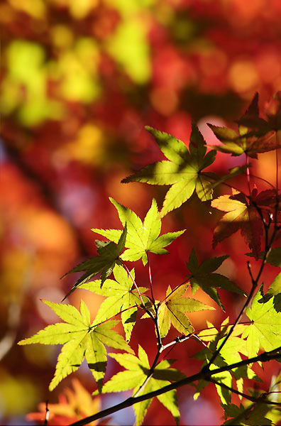 유토이미지 | 35531-0000235