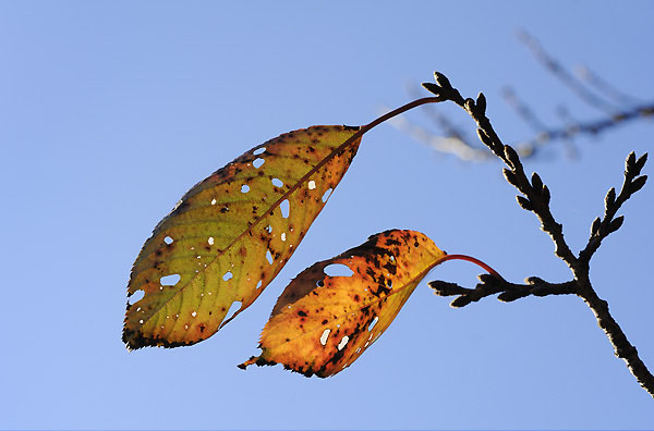 유토이미지 | 35531-0000240