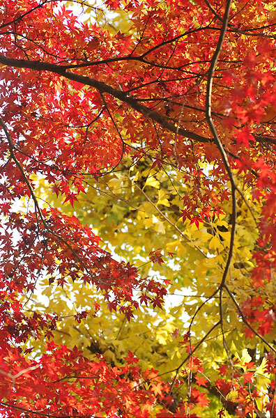 유토이미지 | 35531-0000260