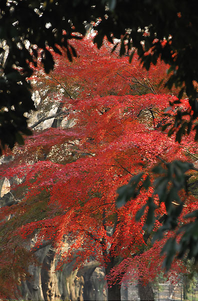 유토이미지 | 35531-0000261