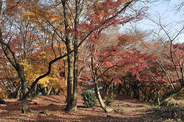 유토이미지 | 35531-0000671