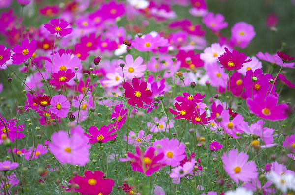 유토이미지 | 35532-0000003