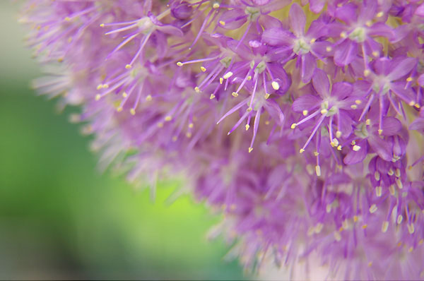 유토이미지 | 35532-0000102