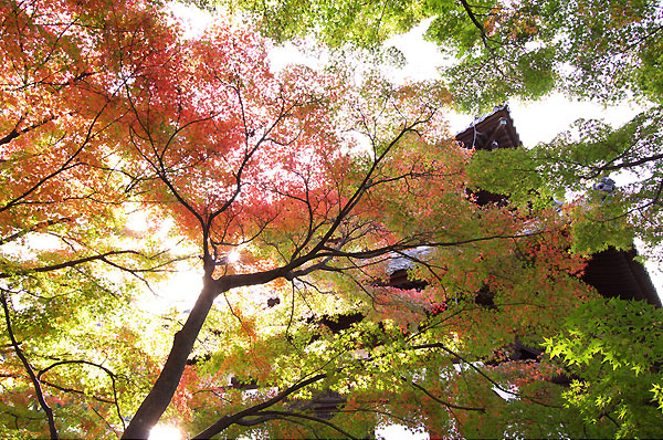 유토이미지 | 35532-0000108