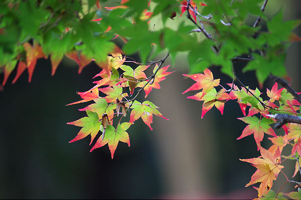 유토이미지 | 35532-0000126