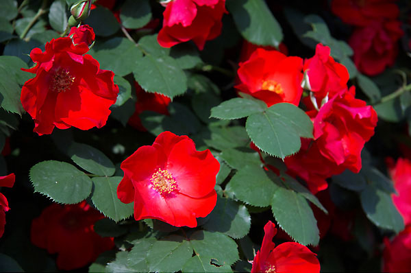 유토이미지 | 35532-0000391