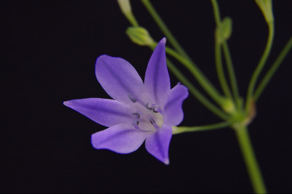 유토이미지 | 35532-0000416