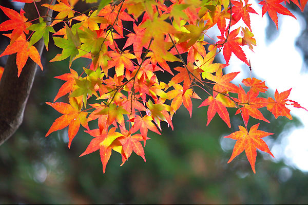 유토이미지 | 35532-0000431