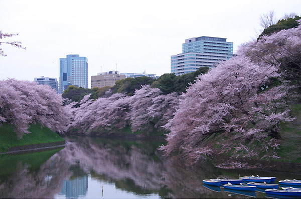 유토이미지 | 35532-0000483