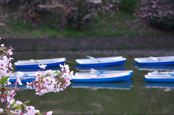 유토이미지 | 상세페이지 | 베이직샵 | 15831184 | 35532-0000487