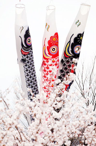 유토이미지 | 상세페이지 | 베이직샵 | 15831978 | 35534-0000214