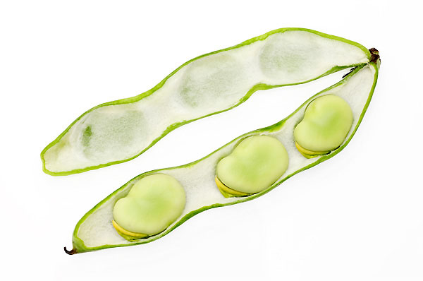 유토이미지 | 35534-0000312